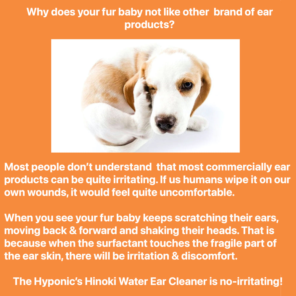 Hyponic Hinoki Cypress Ear Cleaner – Hyponic Australia